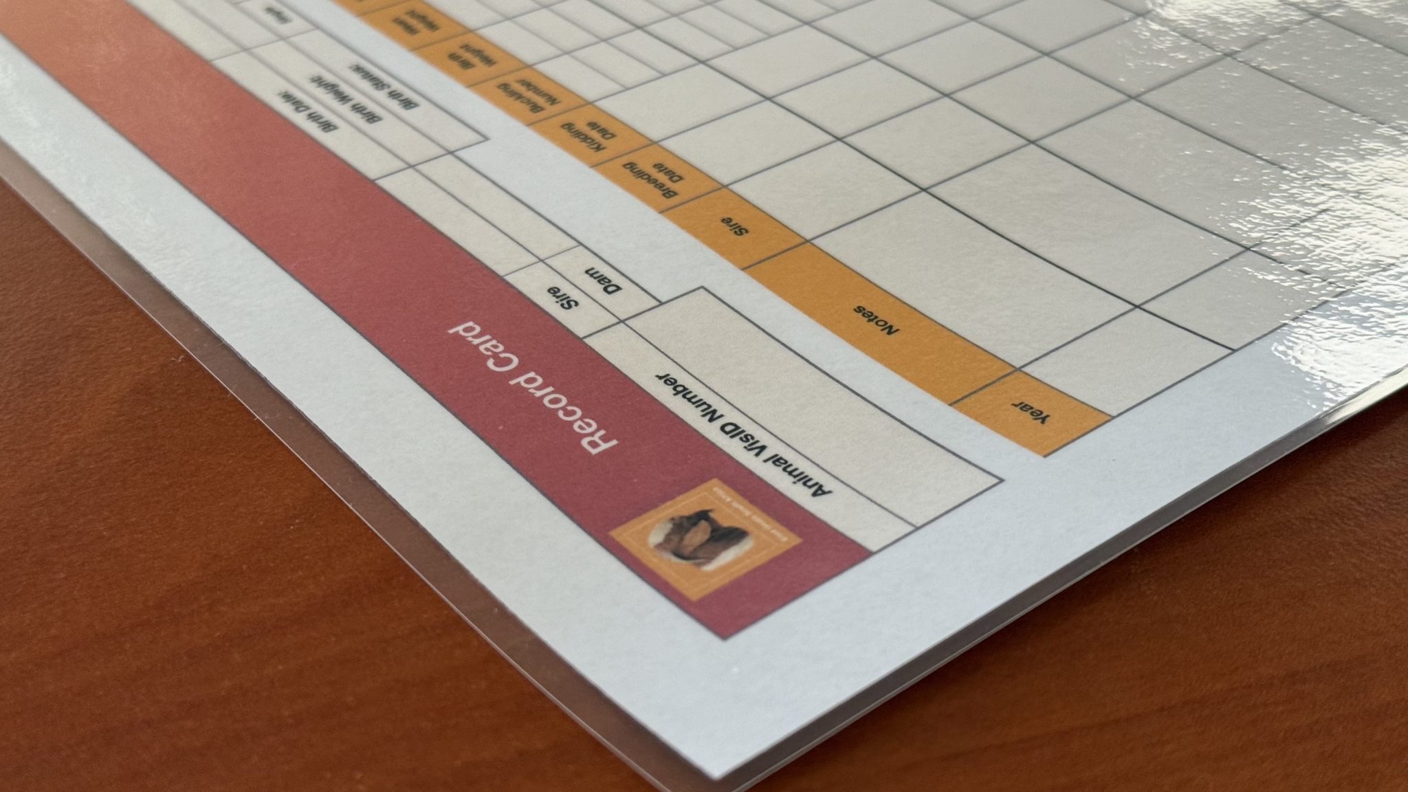 Hard Copy: Record Card – Boer Goats South Africa